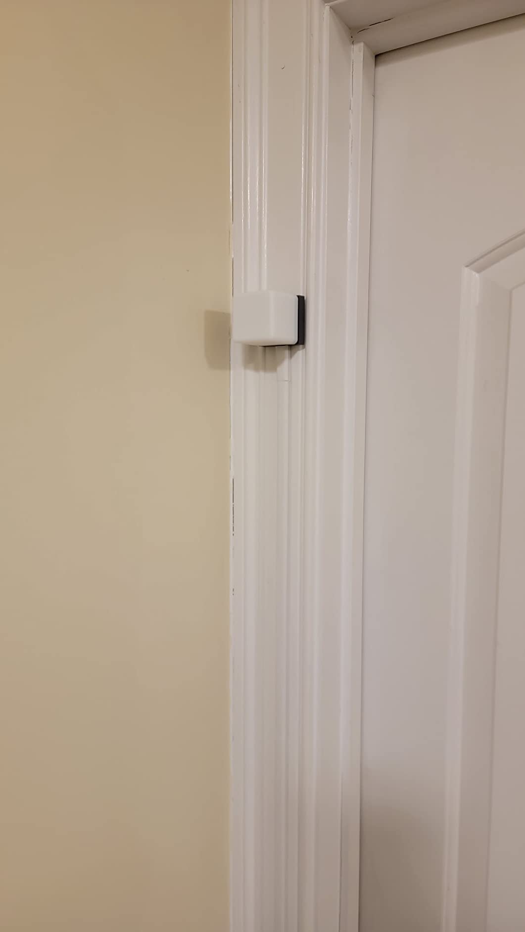 Amazon.com: Embrava Blynclight Standard - Busy Light for The Office ...