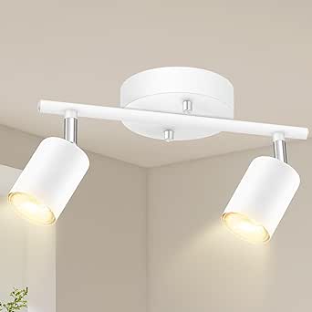 BoostArea LED 2 Light Track Lighting Kit, White 2 Way Ceiling Spot ...