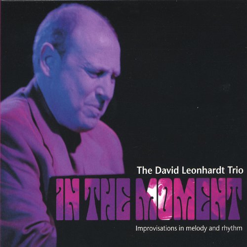 Amazon.co.jp: In The Moment Improvisations in Melody and rhythm : David ...