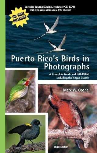 Puerto Rico's Birds in Photographs: A Complete Guide Including the ...