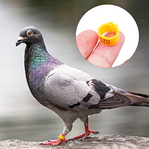 ANCLLO 100 Pcs 10mm Consecutive Numbers Identification Ring Bird Leg ...