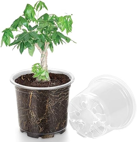 Amazon.com: OUPSAUI 20 Pack 7 Inch Clear Nursery Pots for Plants, Clear ...