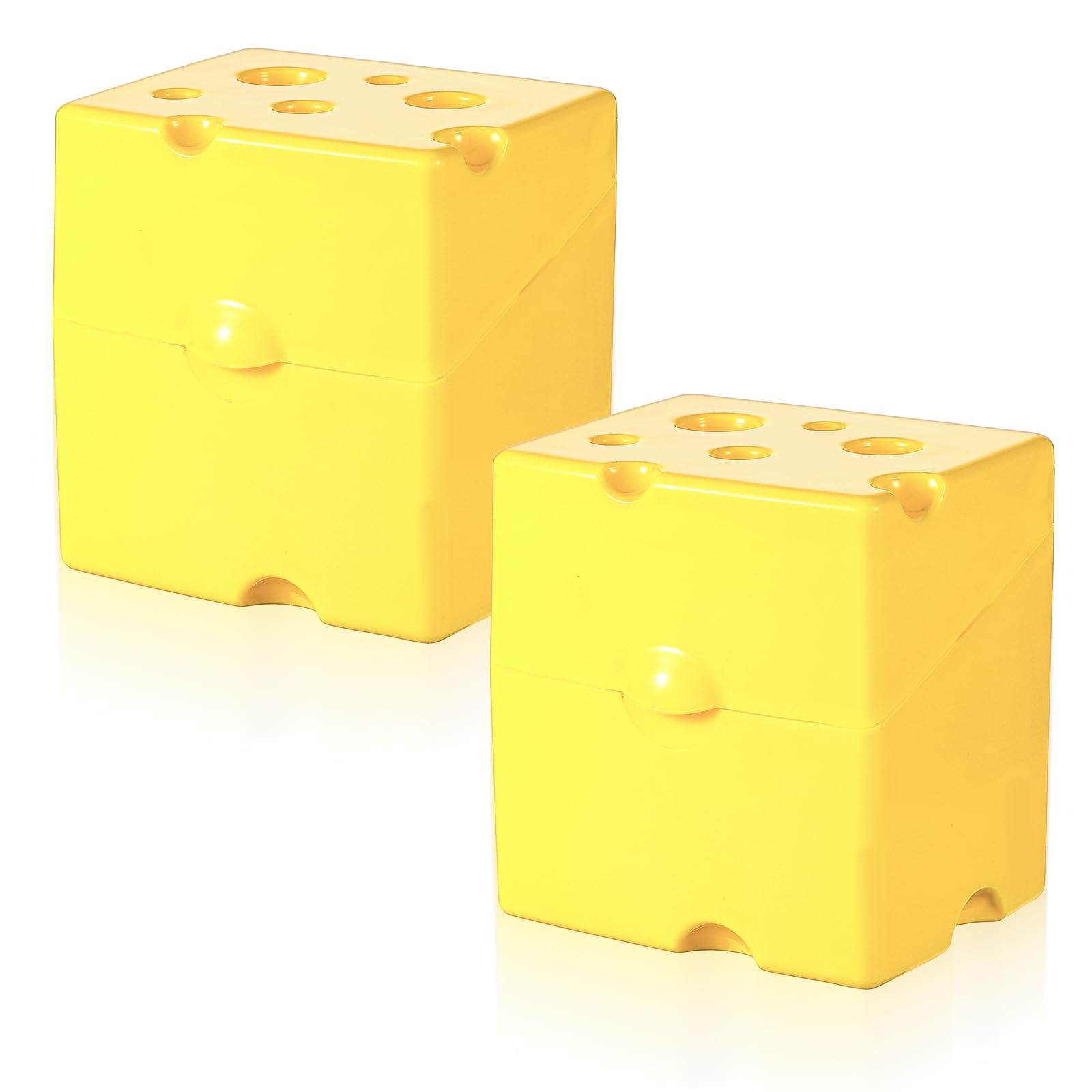 Amazon.com: MAQUITA Sliced Cheese Container for Fridge, 2 PCS Cheese ...
