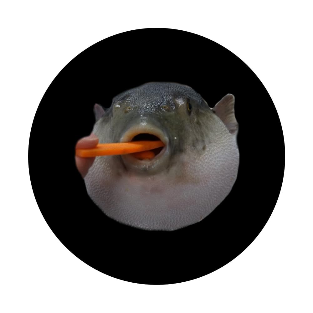 Blowfish Meme Catch And Release Pufferfish GIF Catch And Release