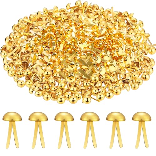 Amazon Best Sellers: Best Craft & Scrapbooking Brads