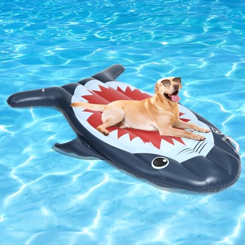 Dog Pool Float – The 15 best products compared - Wild Explained