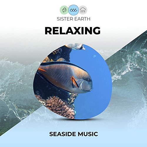 Play Relaxing Seaside Music by Sleep Waves on Amazon Music