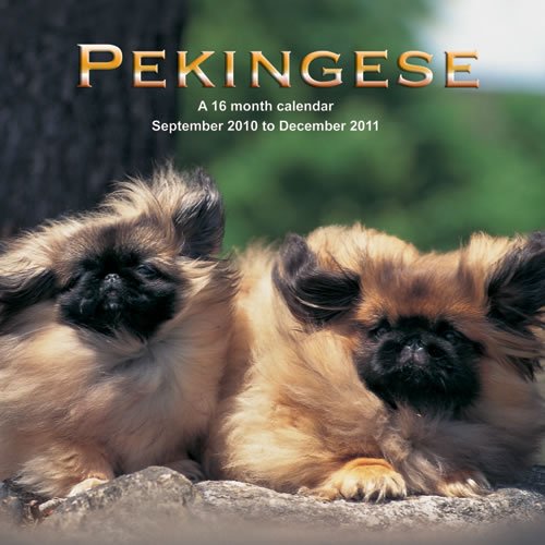 Pekingese 2011 Calendar MGDOG44: Magnum: 9781602547384: Amazon.com: Books