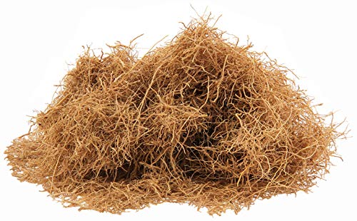 Odisha Ayurved Hub Khus Roots (100 G) : Amazon.in: Health & Personal Care