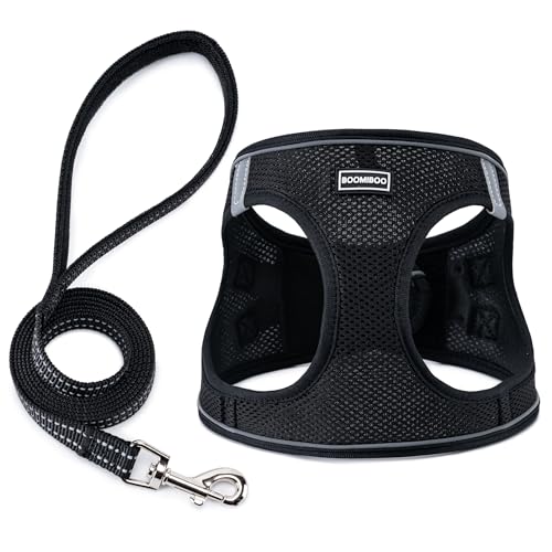 Petsmart Harness – The 15 best products compared - Wild Explained