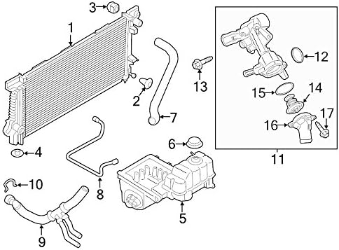 Amazon.com: Ford FL1Z-8075-A Genuine Hose Assembly : Automotive