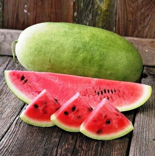 M-Technologies Rare Watermelon " Charleston Grey " Exotic 10 Fruit ...