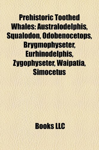 Prehistoric Toothed Whales: Australodelphis, Squalodon, Odobenocetops ...