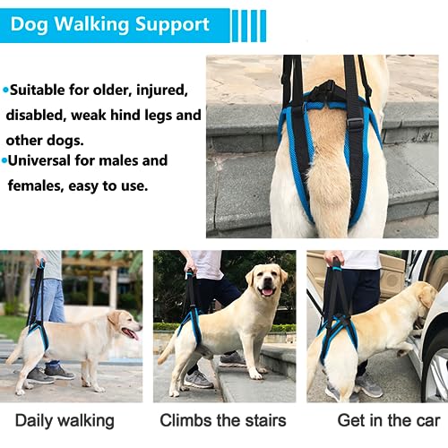 MIGHTYDUTY Dog Lifting Harness for Rear Leg Adjustable Dog Support ...