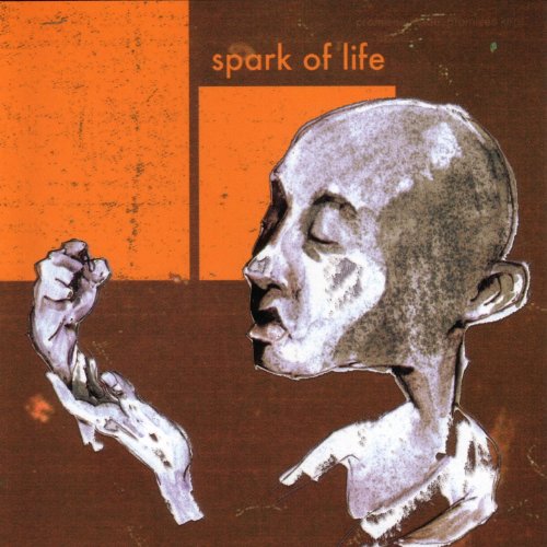 Play Promises Made. Promises Kept. by Spark of Life on Amazon Music
