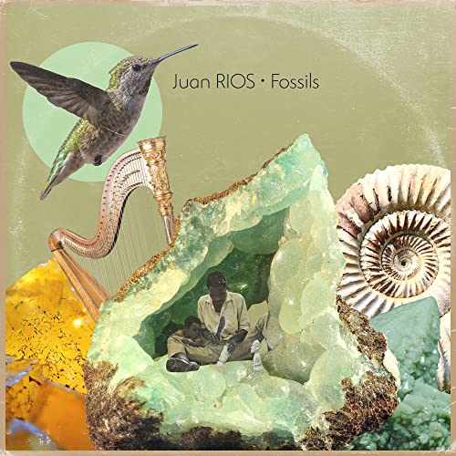 Amazon Music - Juan RiosのFossils - Amazon.co.jp