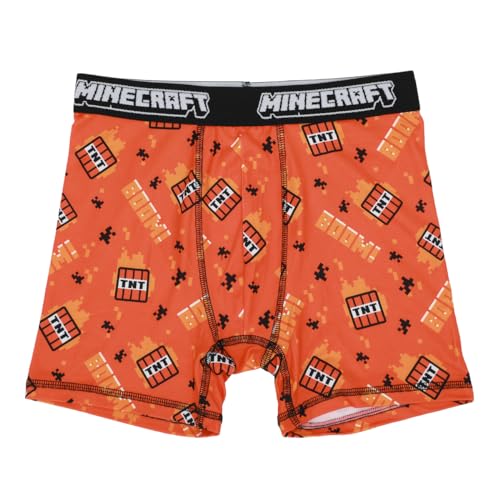 Snapklik.com : Bioworld Youth Boys Minecraft Boxer Brief Underwear 5-Pack