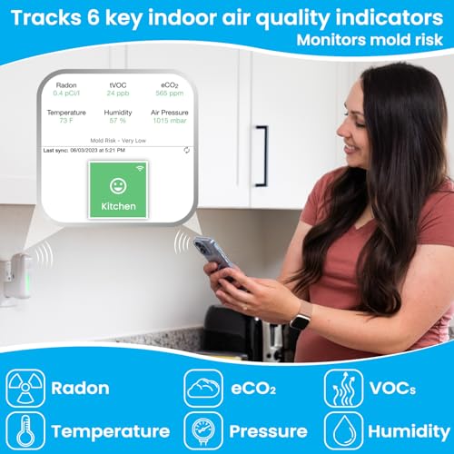 Snapklik.com : Luft Indoor Air Quality Monitor, Radon Detector ...