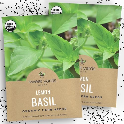 Lemon basil - How to grow & care