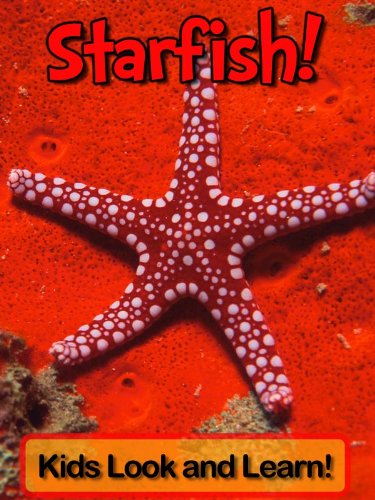 Starfish Books for Kids {Ocean Animals Unit Study}