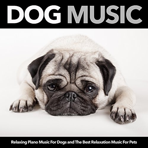 Play Dog Music: Relaxing Piano Music For Dogs and The Best Relaxation ...