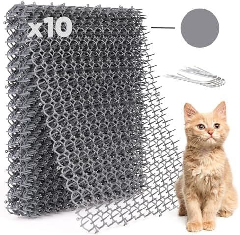 Bubblez_10's Amazon Page