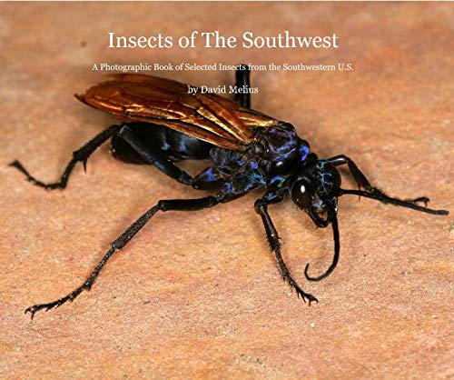 Insects of The Southwest: David Melius: 9781320525992: Amazon.com: Books