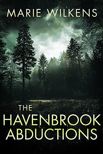 The Havenbrook Abductions: A Riveting Small Town Kidnapping Mystery (A ...
