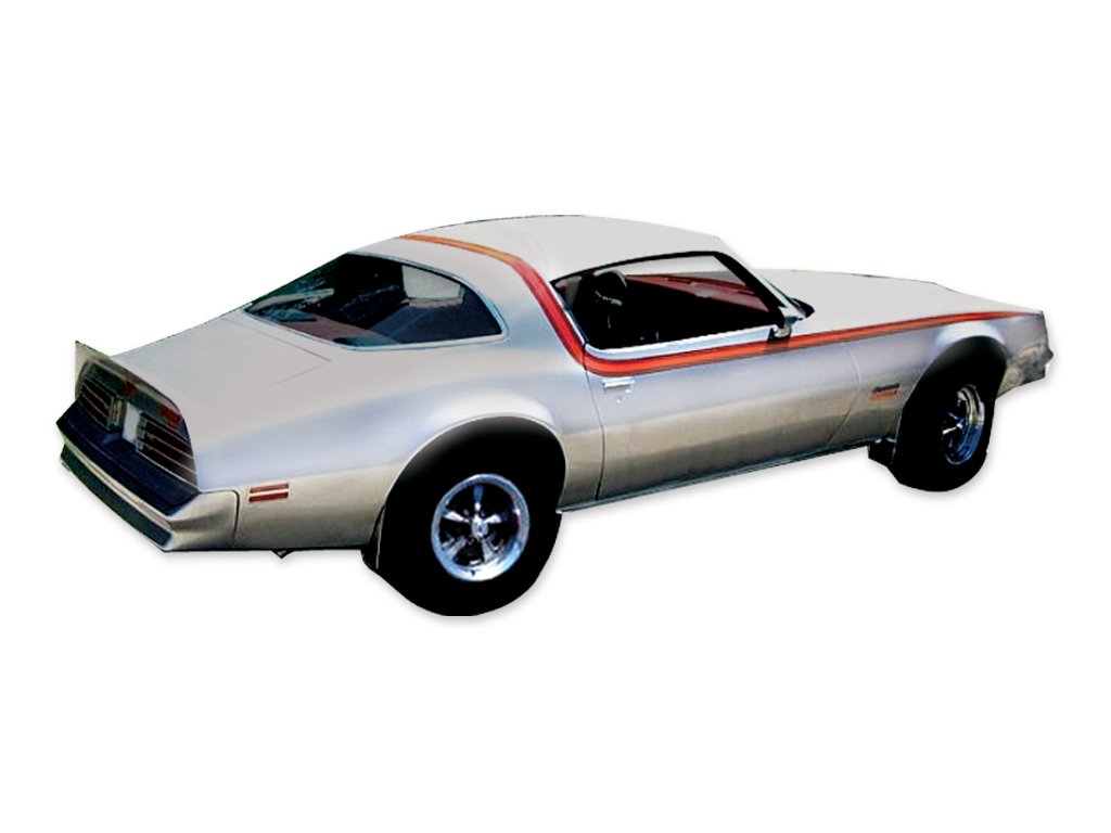 Amazon.com: 1976 1977 1978 Pontiac Firebird & Formula Side & Over Roof ...