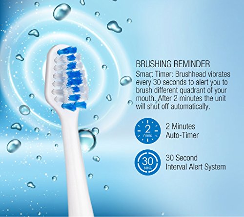 Buy the Best Electric Toothbrushes and Replacement Heads - Apical Life ...