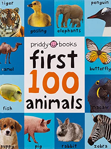 Amazon.com: My Big Animal Book (My Big Board Books): 9780312511074 ...