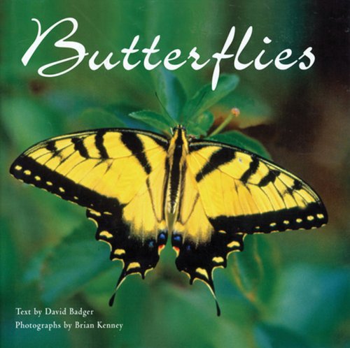 Butterflies: Badger, David: 9780785826903: Amazon.com: Books