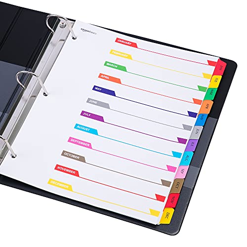 Snapklik.com : Basics 12 Tab Monthly Dividers For 3 Ring Binder