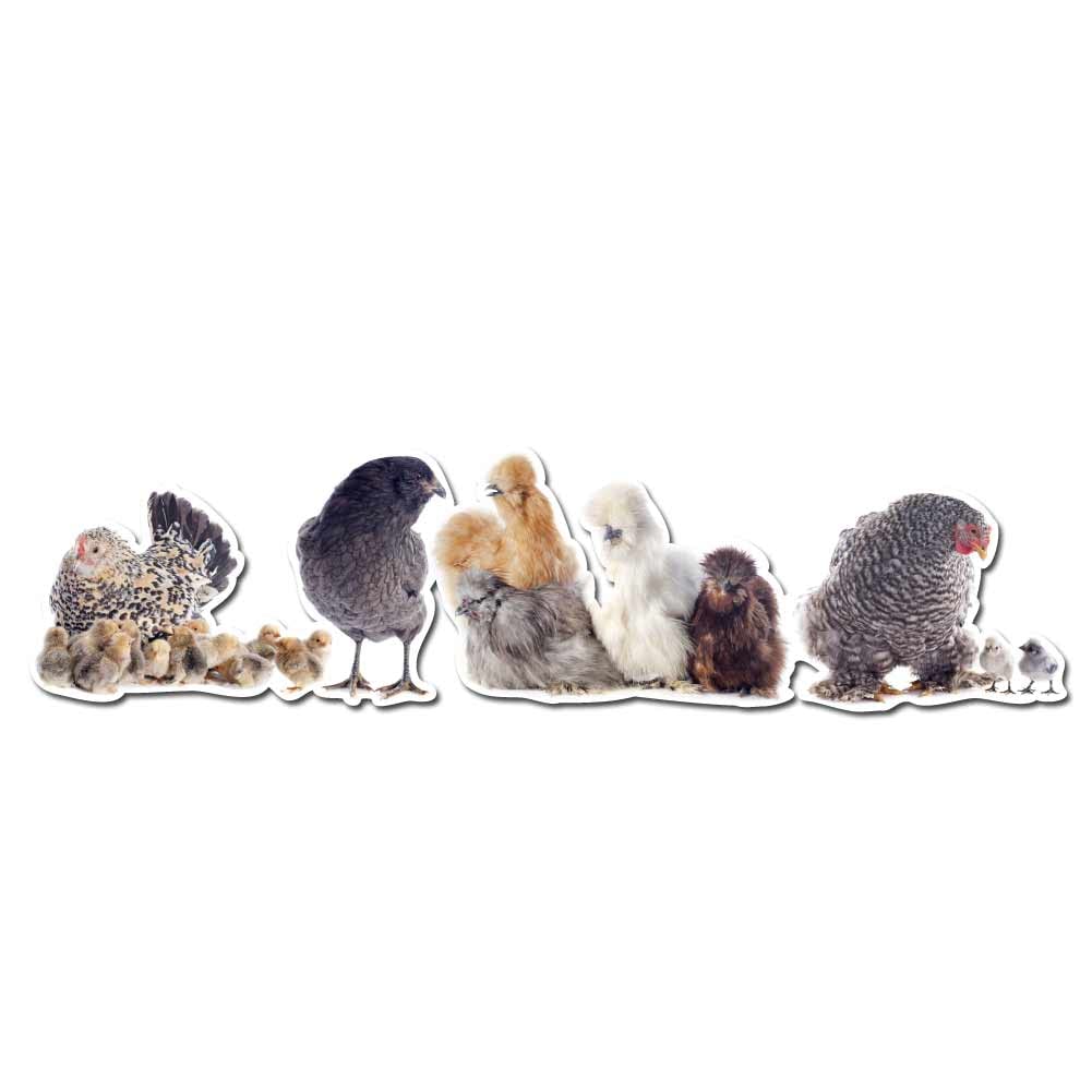 Amazon.com: Group of Chickens 3 Inch Full Color Static Window Cling ...