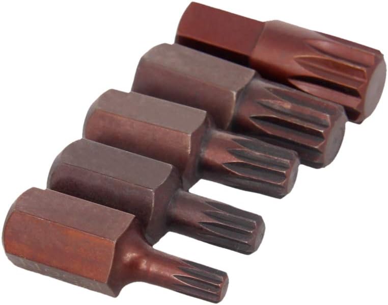 5Pcs 12 Point Triple Square Spline Bit, 12 Point Torx Screwdriver Bits ...
