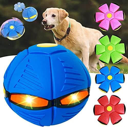 Frisbee Ball – Die 15 besten Produkte im Vergleich - HundeINFOPortal