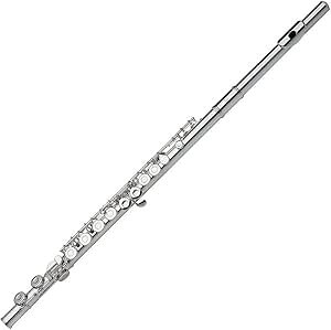 Amazon.com: Gemeinhardt Flute (2SP) : Musical Instruments