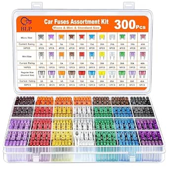 BLP 300Pcs Car Fuse Kit, 160 Mini + 90 Standard + 50 Micro Blade Fuses ...