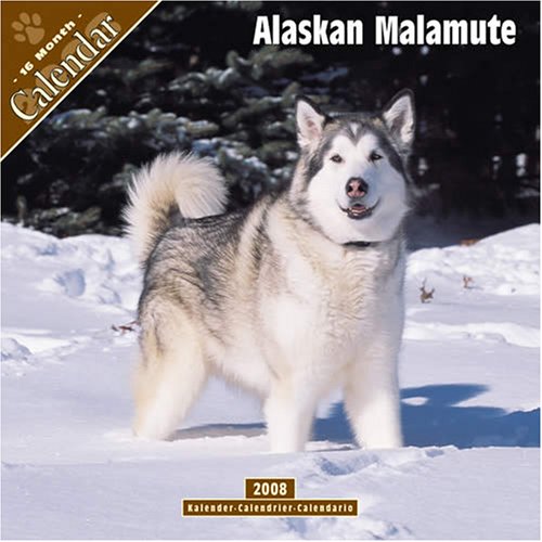 Alaskan Malamute 2008 Wall Calendar: Pet Prints: 9781846622366: Amazon ...