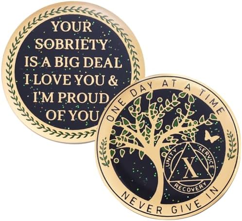 Amazon.com: LParkin 10 Year Sobriety Coin, Tree of Life Sobriety Coin ...