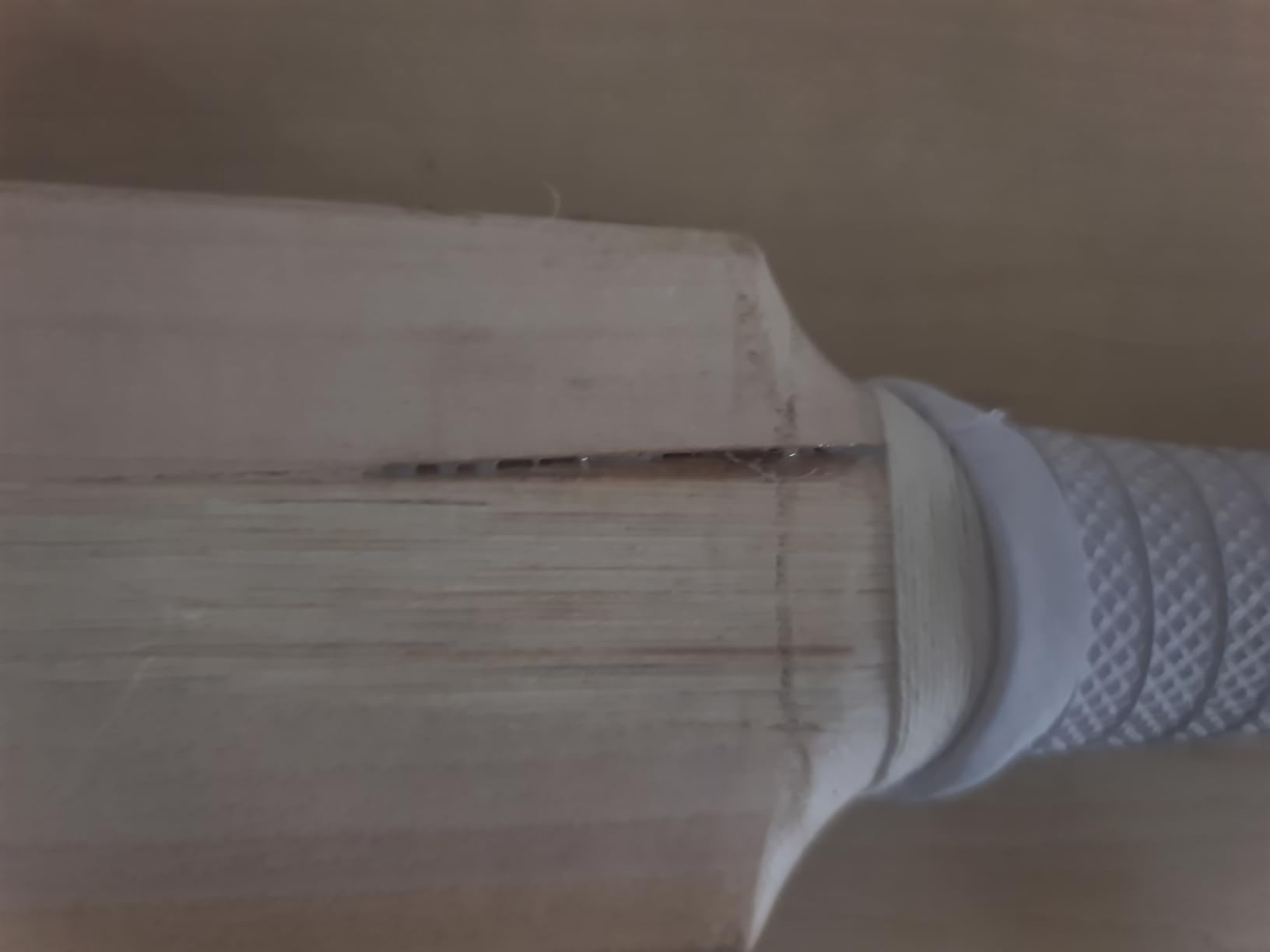 Heega Fanatic Kashmir Willow Middler Cricket Bat (Painted) Short Handle ...