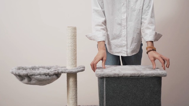 Watch Cat tree assembly steps on Amazon Live