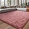 Amazon.com: 8x10Ft Area Rug for Living Room, Ultra Soft Shag Living ...