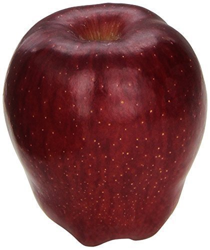 Washington Red Apple