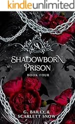 Amazon.com: Shadowborn Academy: Year One (Dark Fae Academy Series Book 1) eBook : Bailey, G ...