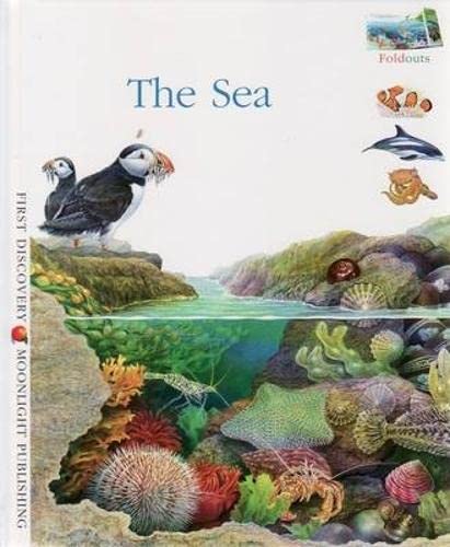 The Sea (First Discovery: Foldouts): Fuhr, Ute, Sautai, Raoul ...