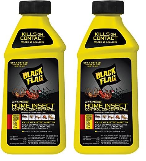 Amazon.com: Black Flag Extreme Home Insect Control Concentrate, 16 ...