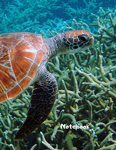 Notebook: Sea Turtle Notebook / Journal: Journal, My, Cummings, Othen ...