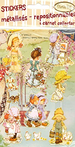 Sarah kay -stickers metallises reposit. : N/A: Amazon.ca: Books
