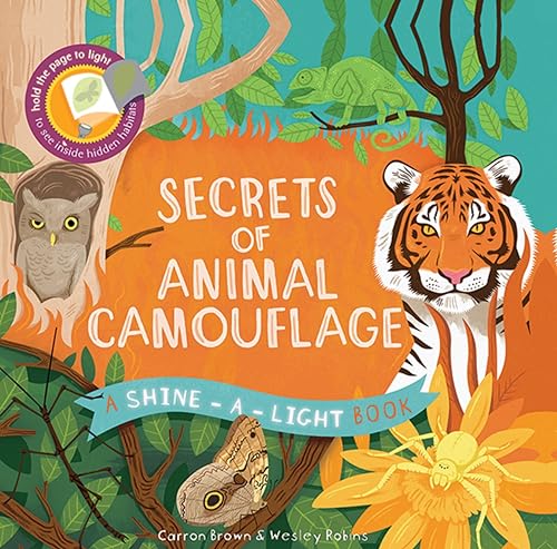 Animal adaptations – exciting camouflage activity ideas for kids ...